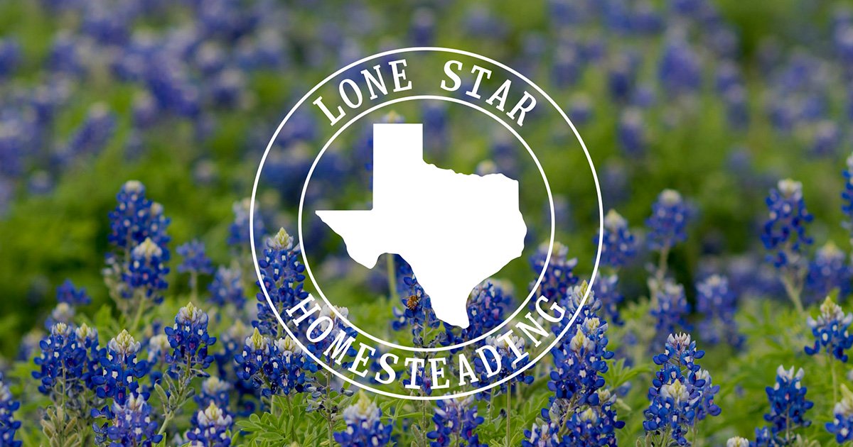 Family Life - Lone Star Homesteading